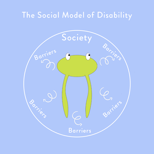 The social model of disability – Choices and Rights Disability Coalition