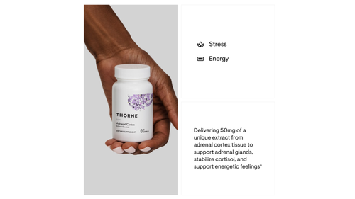 Discover Peak Adrenal Health with Thorne Adrenal Cortex ...