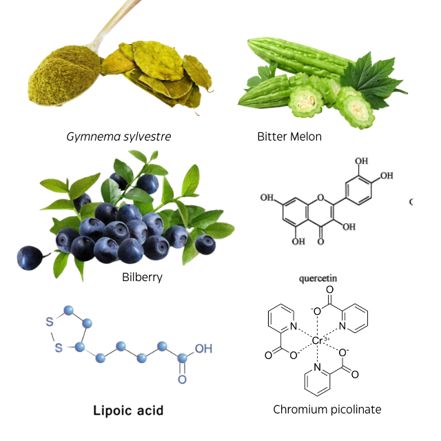 Thorne Diabenil for Healthy Blood Sugar Levels | Puretyclinic.com
