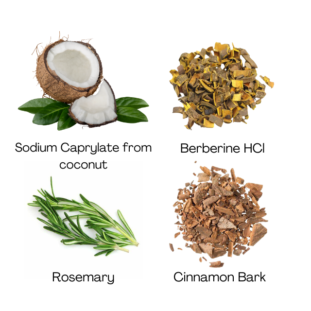 Ortho Molecular Candicid Forte: Supporting Optimal GI Microflora ...