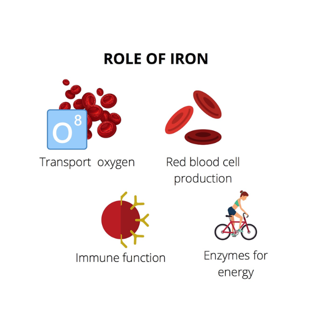 Ortho Molecular Reacted Iron: Supporting Optimal Iron Levels ...