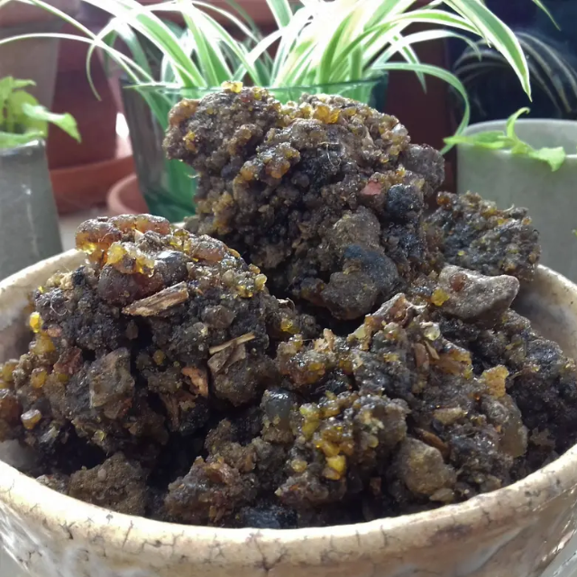 Metagenics Lipotain: Supporting Healthy Blood Lipids | Puretyclinic.com