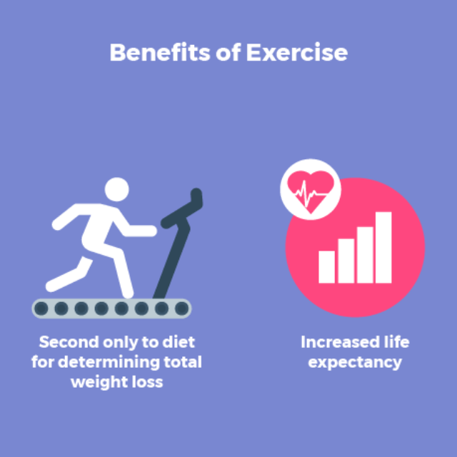 Pure Encapsulations Ligament Restore: Supporting Healthy Tendons ...