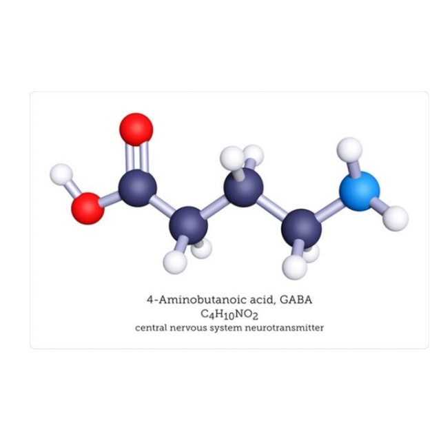 Thorne PharmaGABA-100: Natural Stress Relief and Restful Sleep ...