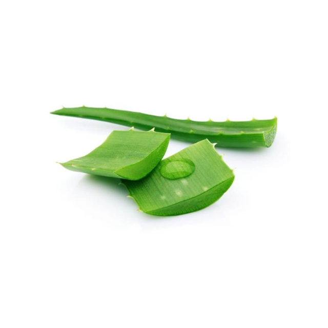 Thorne EnteroMend Supports Intestinal Health | Puretyclinic.com