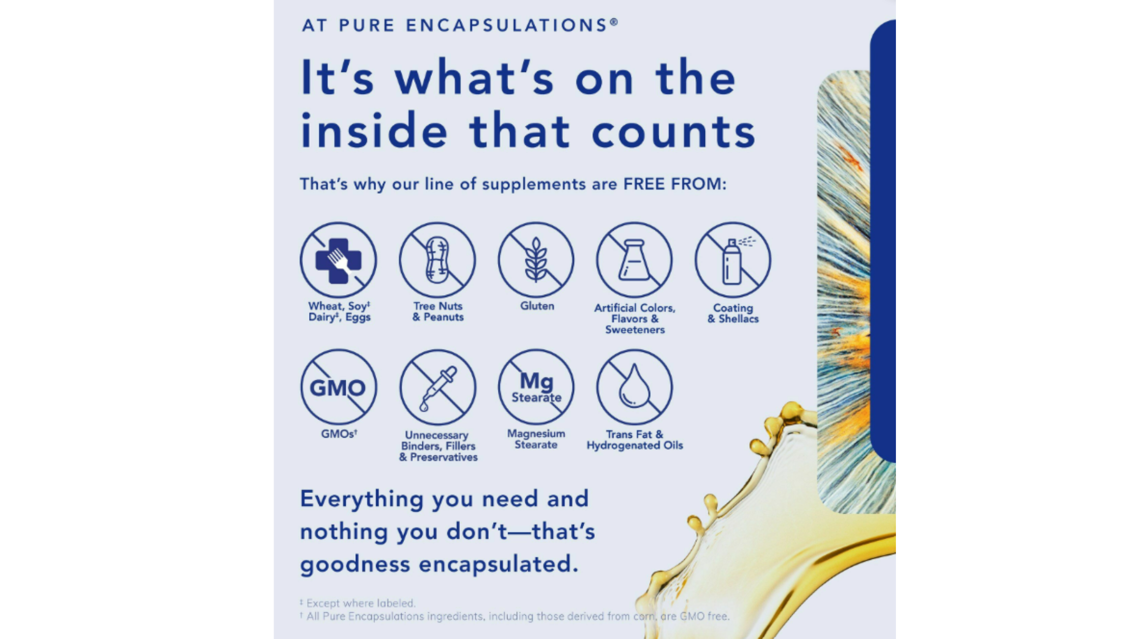 Pure Encapsulations MotilPro: Digestive Support Supplement