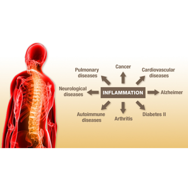 Ortho Molecular Traumeric: Enhancing Joint Health and Reducing ...