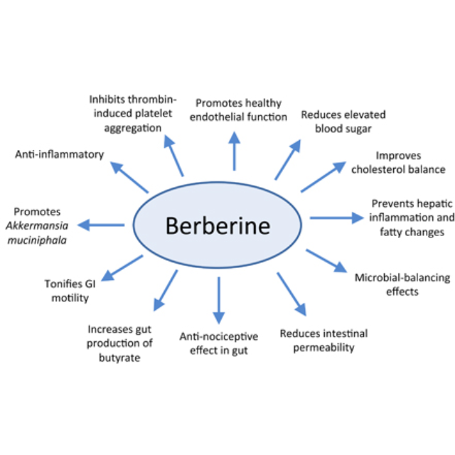 Ortho Molecular Pyloricil: Optimal GastroIntestinal Health ...