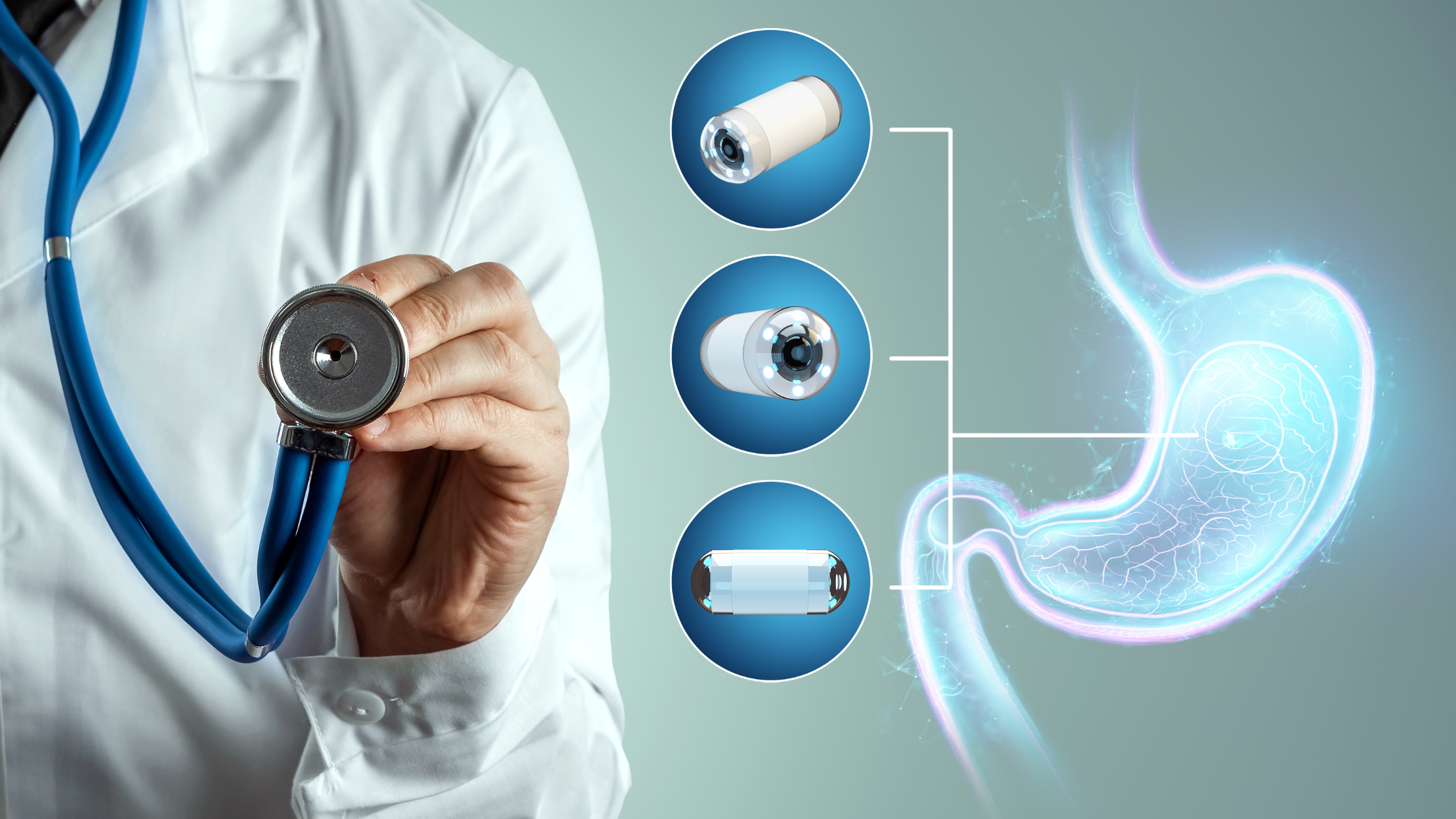 Thorne Ferrasorb: Harnessing Its Benefits and Uses for Optimal Health