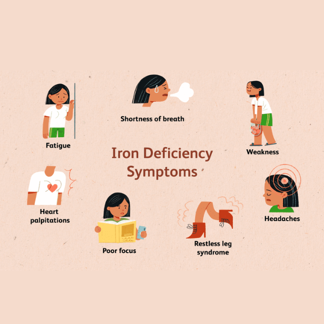 Ortho Molecular Reacted Iron: Supporting Optimal Iron Levels ...