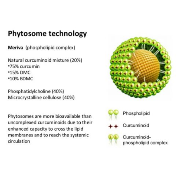 Thorne EnteroMend Supports Intestinal Health | Puretyclinic.com