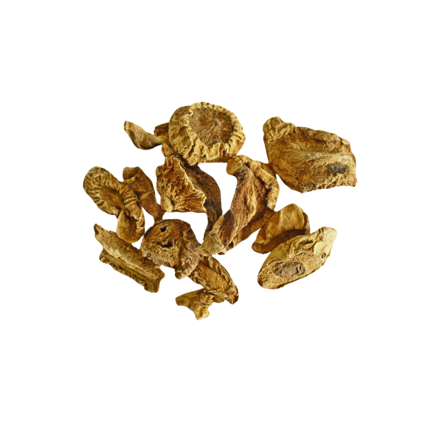 Pure Encapsulations Ligament Restore: Supporting Healthy Tendons ...