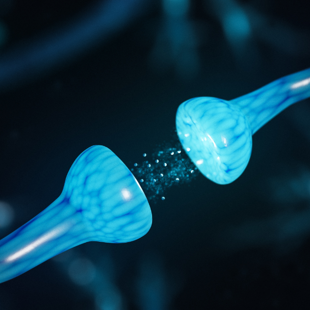 Xymogen RelaxMax: Enhance Stress Resiliency and Relaxation ...