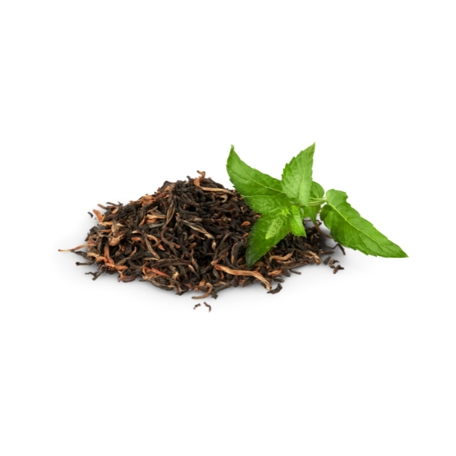 Thorne Green Tea Phytosome: Supports Optimal Absorption, Fat Burning ...