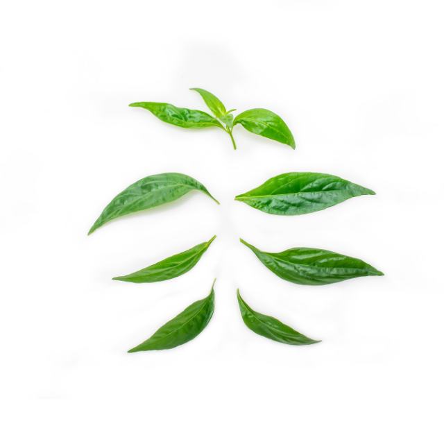 Ortho Molecular Sinatrol: Supporting Sinus Health Naturally ...