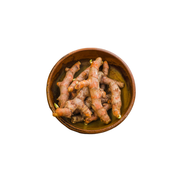 Ortho Molecular Sinatrol: Supporting Sinus Health Naturally ...