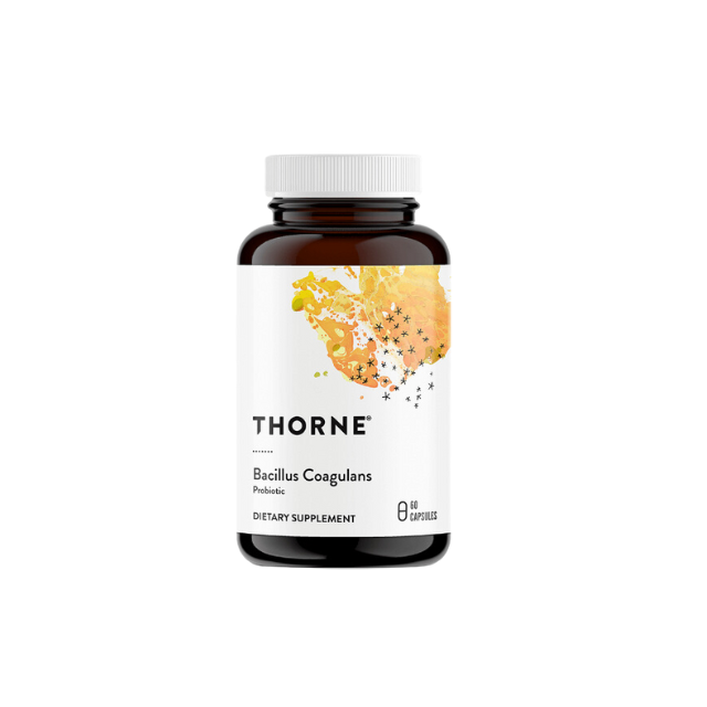 Thorne Bacillus Coagulans: Your Everyday Guide to Gut Health ...