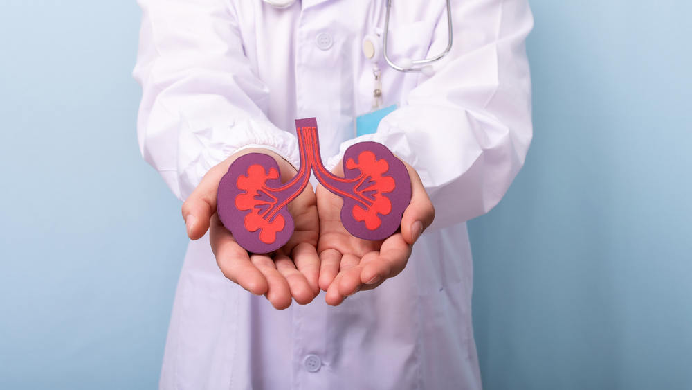 Metagenics Adrenogen: Supporting Healthy Adrenal Function for Optimal ...