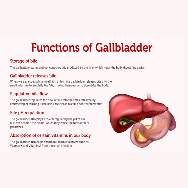 Pure Encapsulations Digestion GB: Support for Gallbladder and Digestive ...