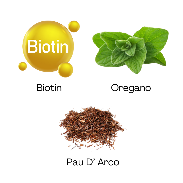 Ortho Molecular Candicid Forte: Supporting Optimal GI Microflora ...