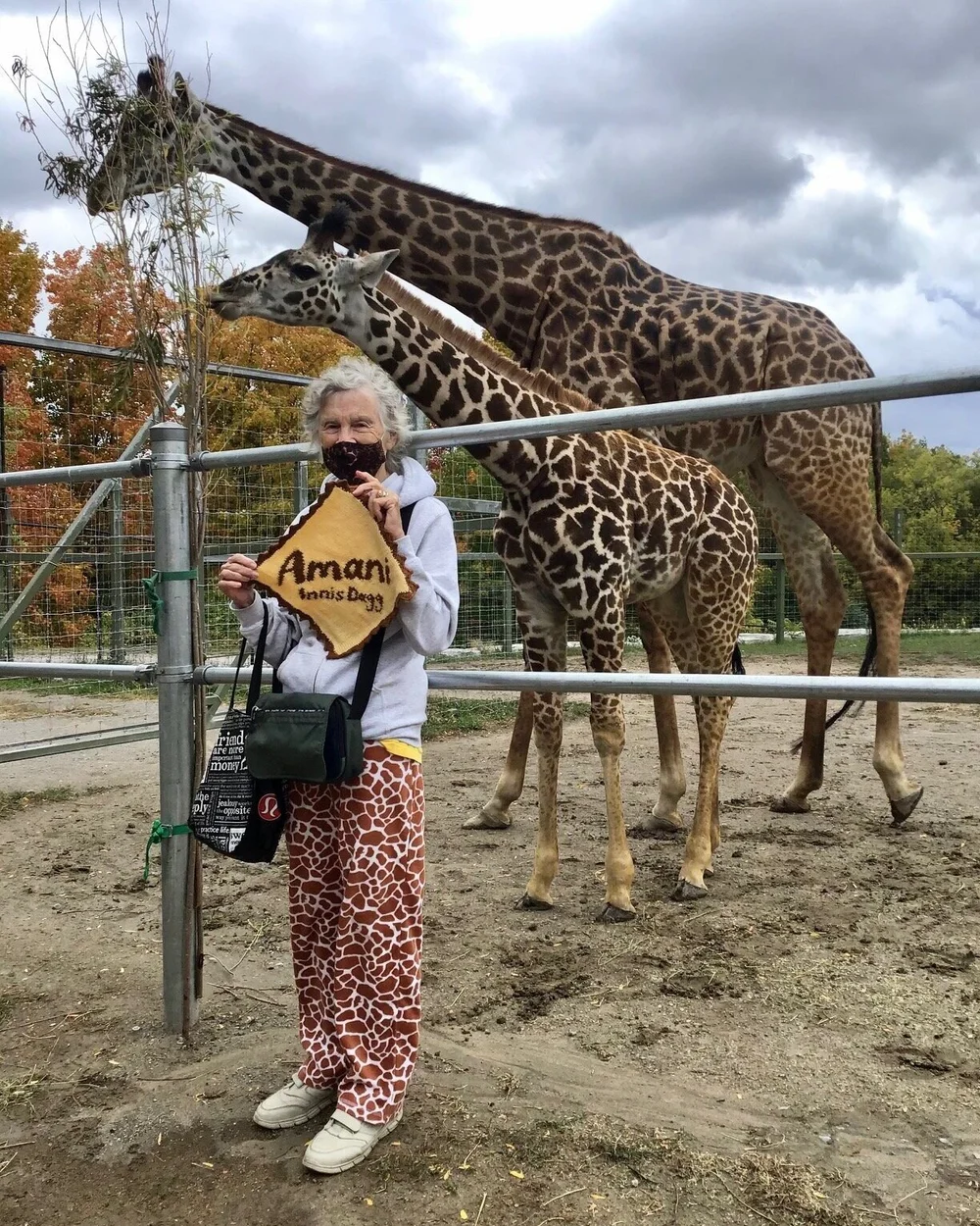 Giraffe Facts — Anne Innis Dagg (AID) Foundation