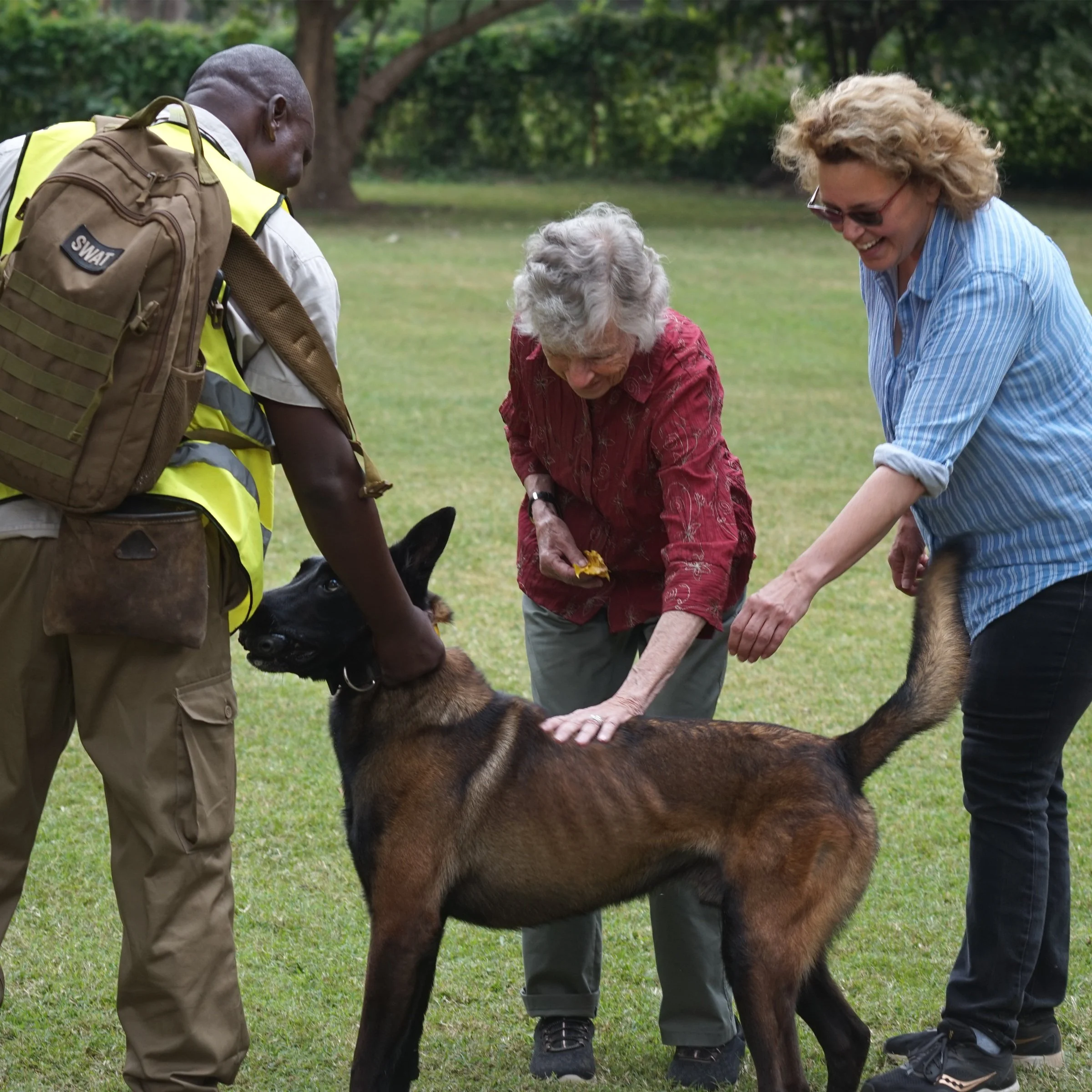 Anne Innis Dagg (AID) Foundation