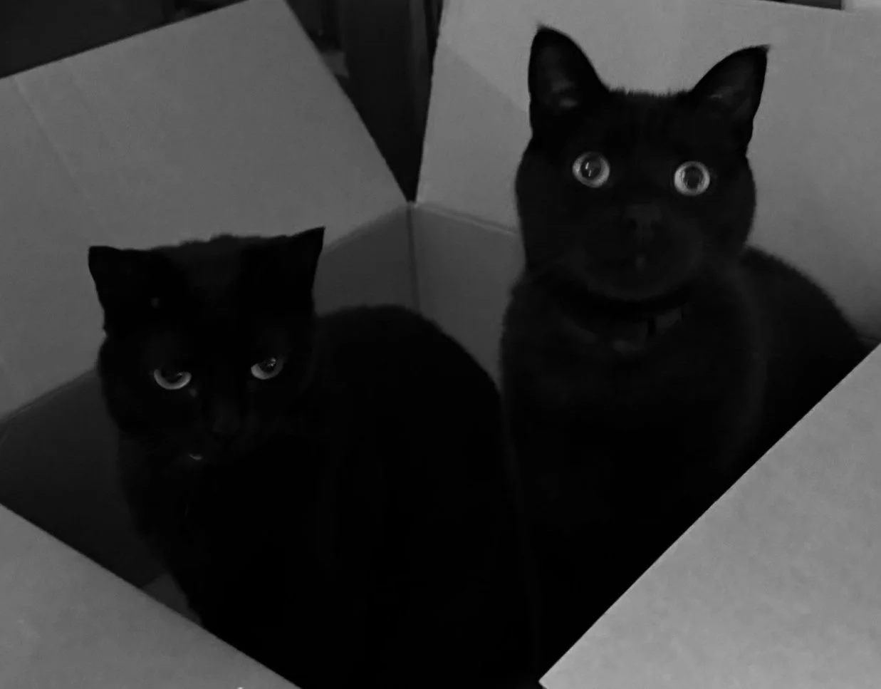 7 Keys to Intimate Communication for Deeper Connection in Relationships ...