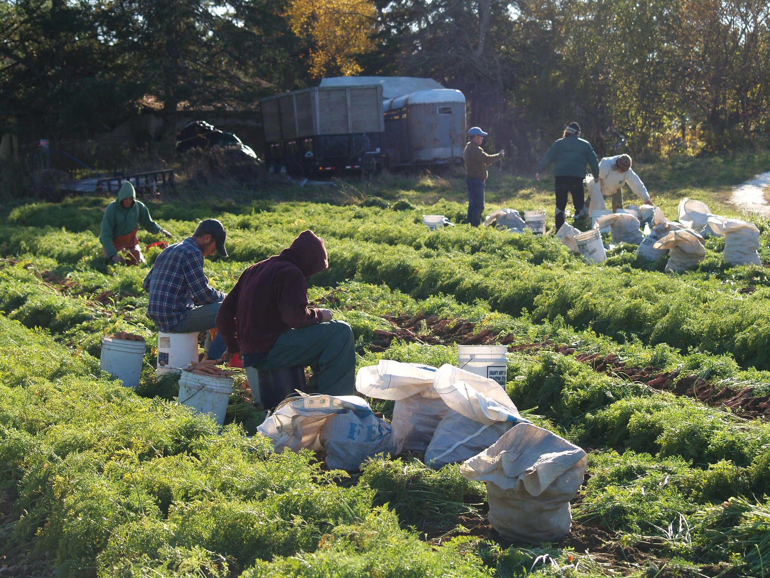 Gallery — King Hill Farm