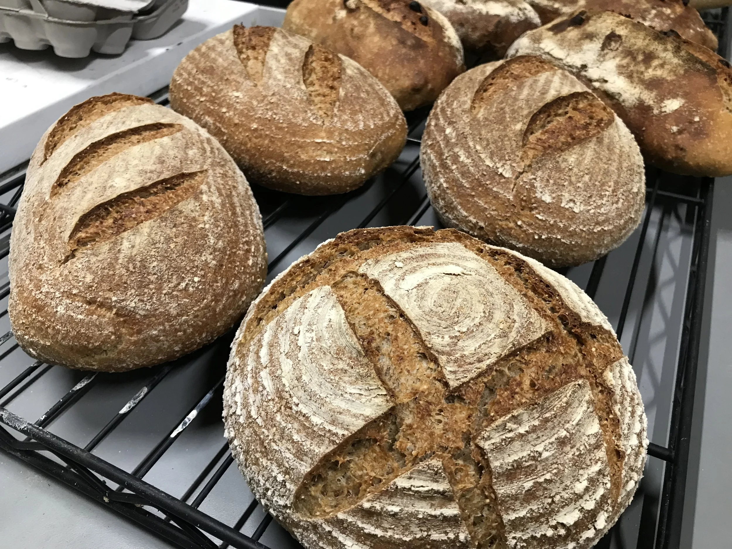 Our Products — Four Fields Farm