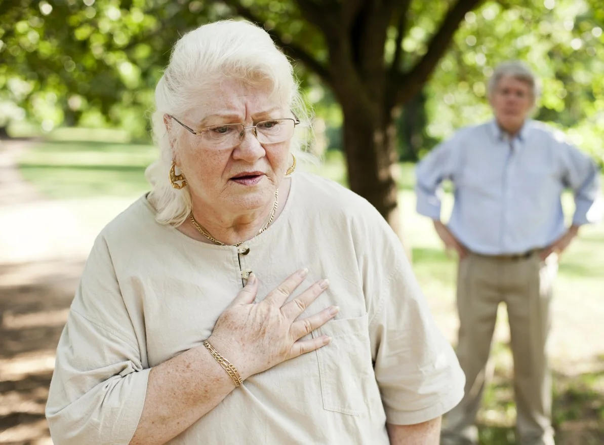 Comprender el aferramiento y la sombra — NAN: Navigating Aging Needs