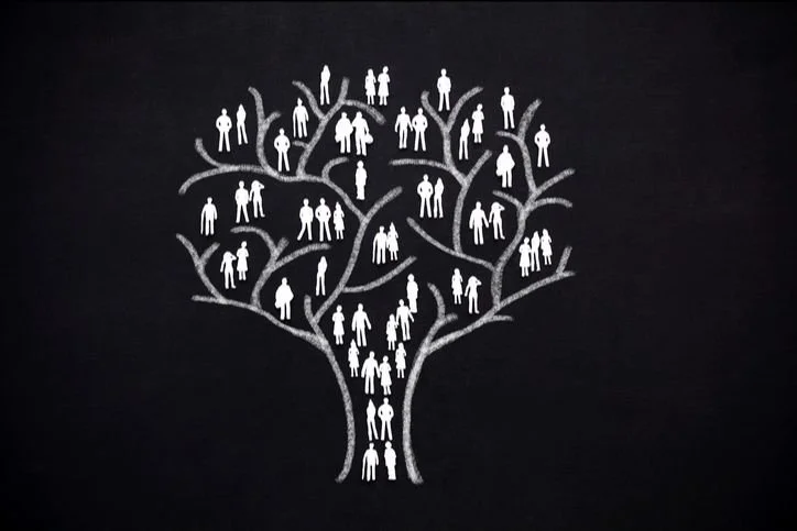 The Power of Family — NAN: Navigating Aging Needs