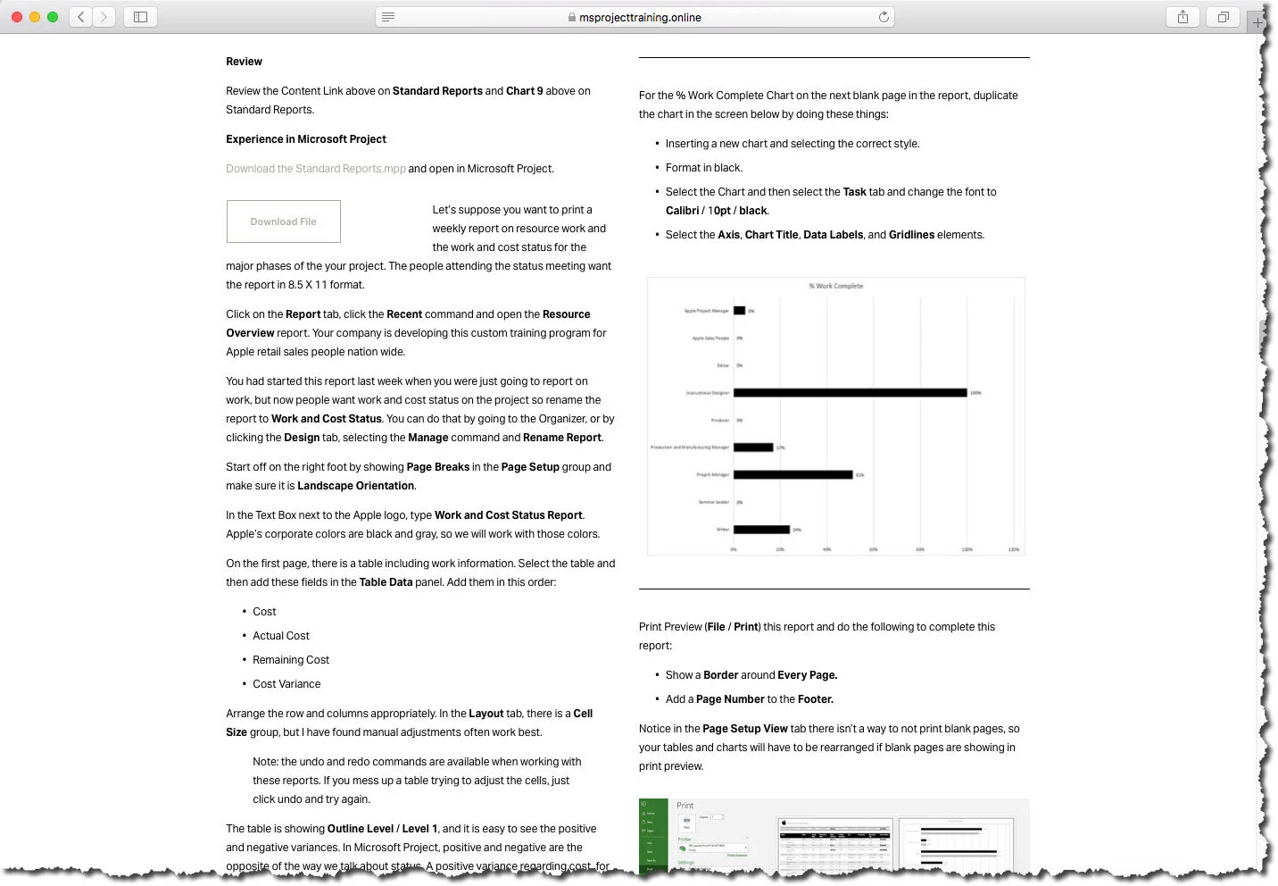 MS Project Master Class