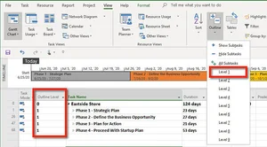 Mastering Work Breakdown Structures in Microsoft Project: A ...