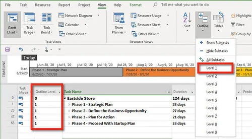 Mastering Work Breakdown Structures in Microsoft Project: A ...