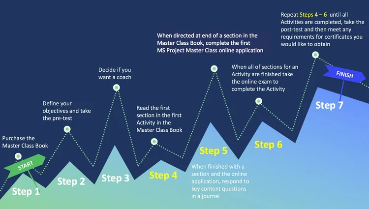 Microsoft Project Master Class Training