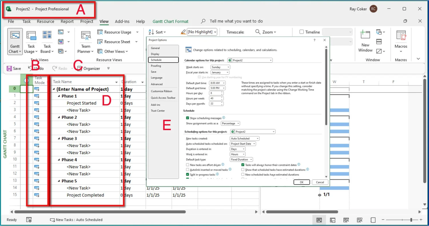 MS Project Master Class: Activity 4 - Adopt PM/Software Standards ...