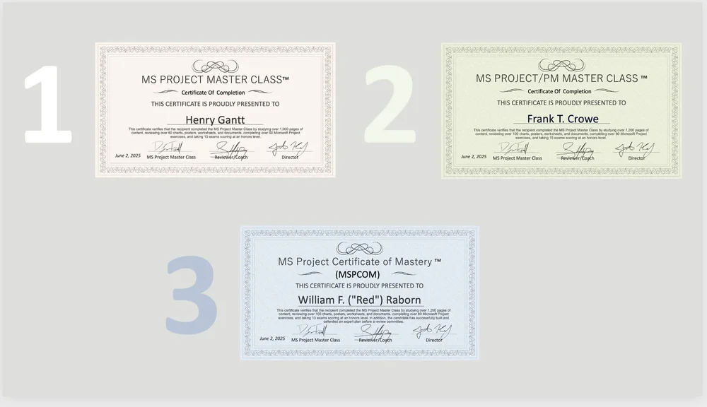 Microsoft Project Master Class Training