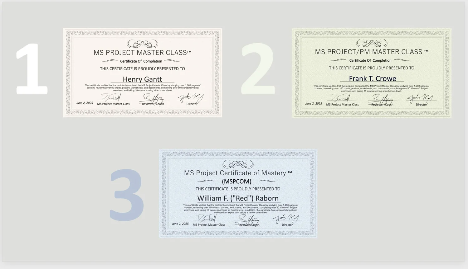 Microsoft Project Master Class Training