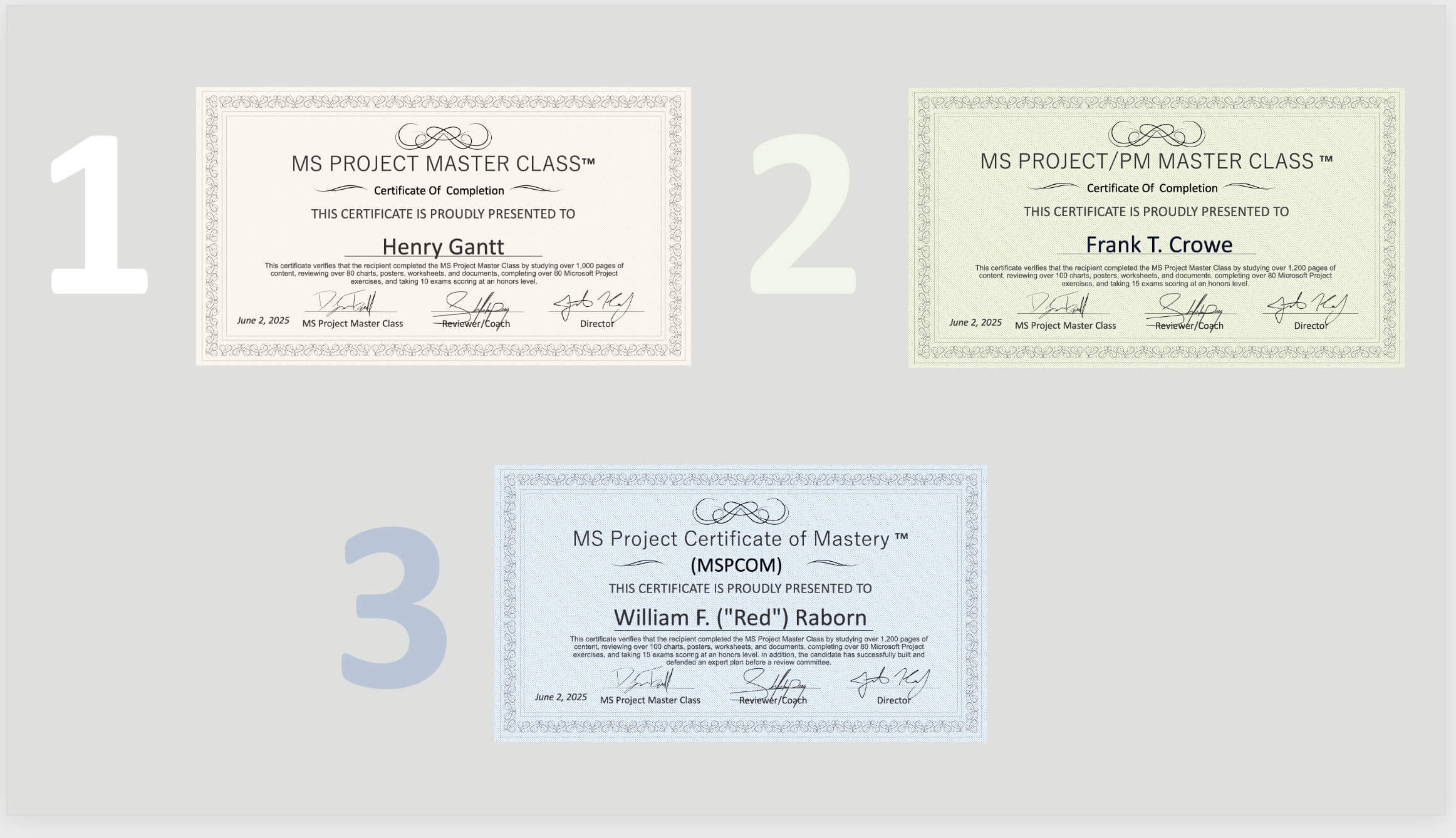 Microsoft Project Master Class Training