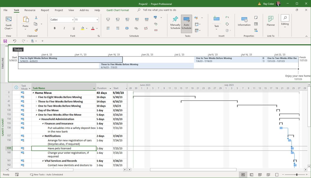 Mastering Project Objectives in Microsoft Project: Stakeholder Analysis, SMART+A, and More ...