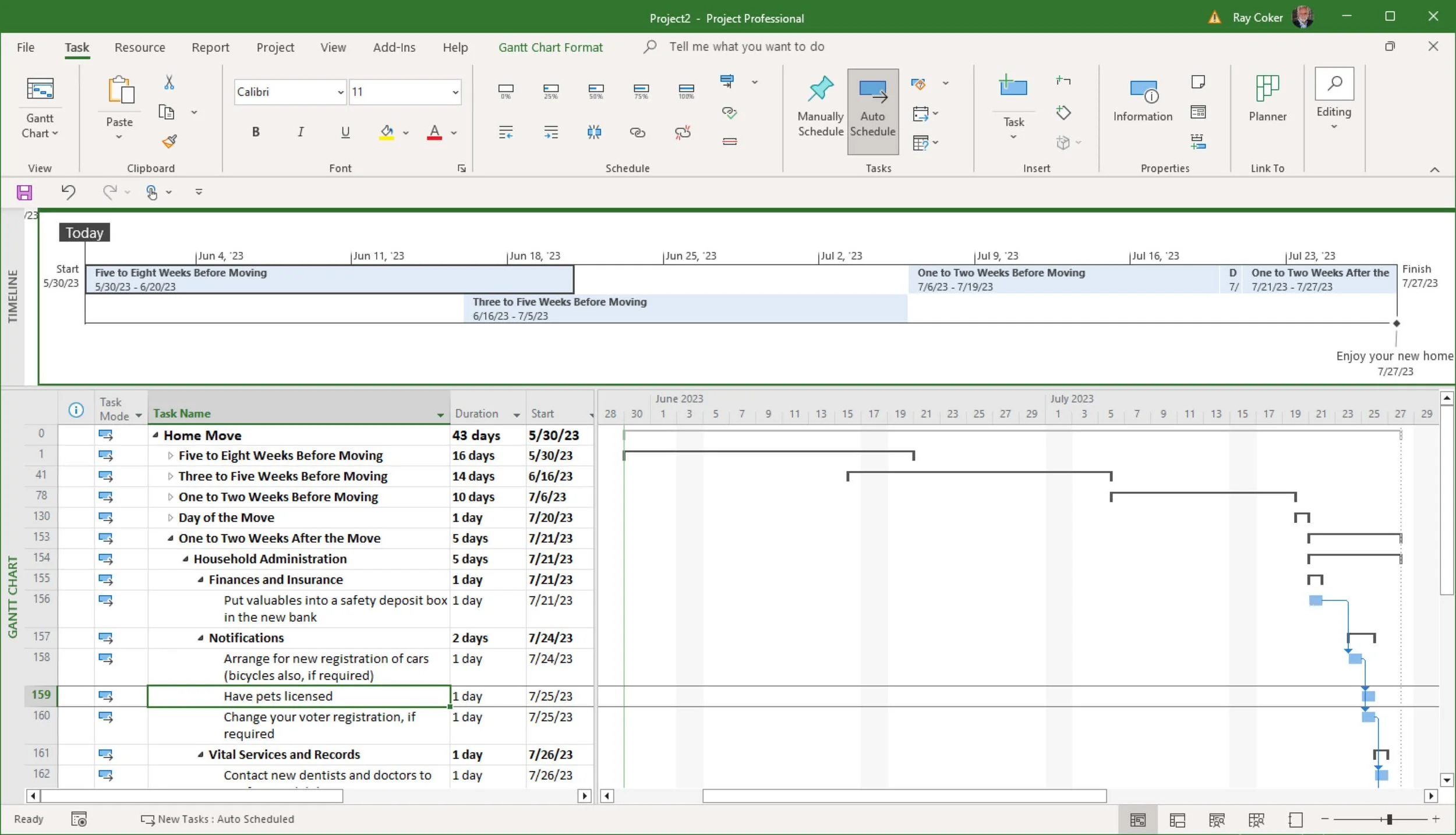 Mastering Project Objectives in Microsoft Project: Stakeholder Analysis, SMART+A, and More ...