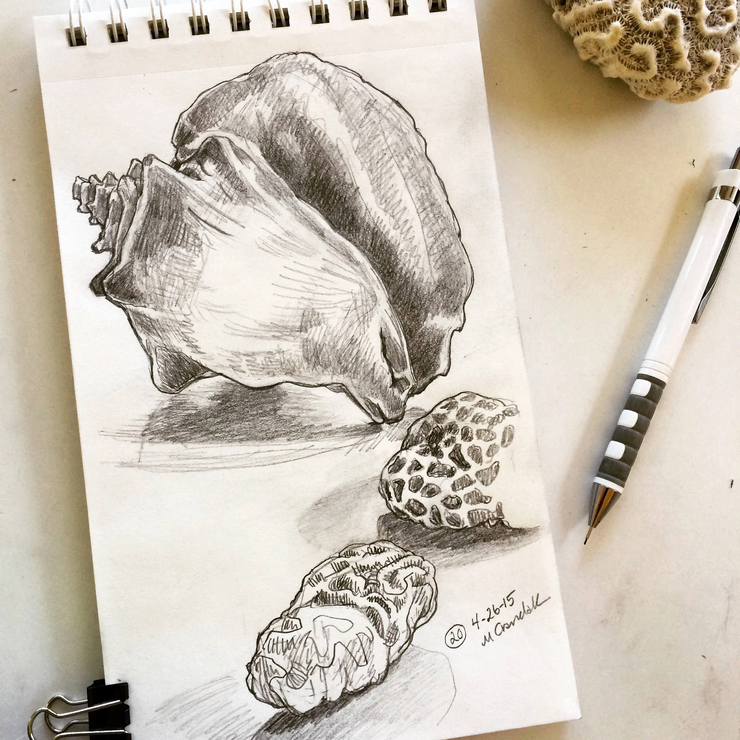 Classes & Workshops — The Chicago Mosaic School