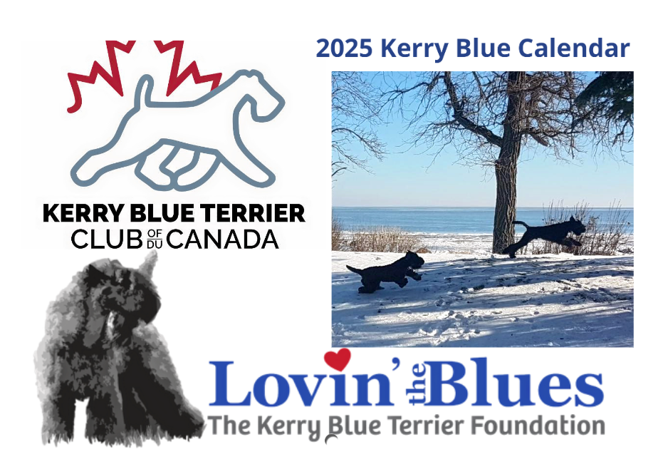 Our New 2025 Calendar of Kerry Blues! Lovin the Blues.... — Kerry Blue ...