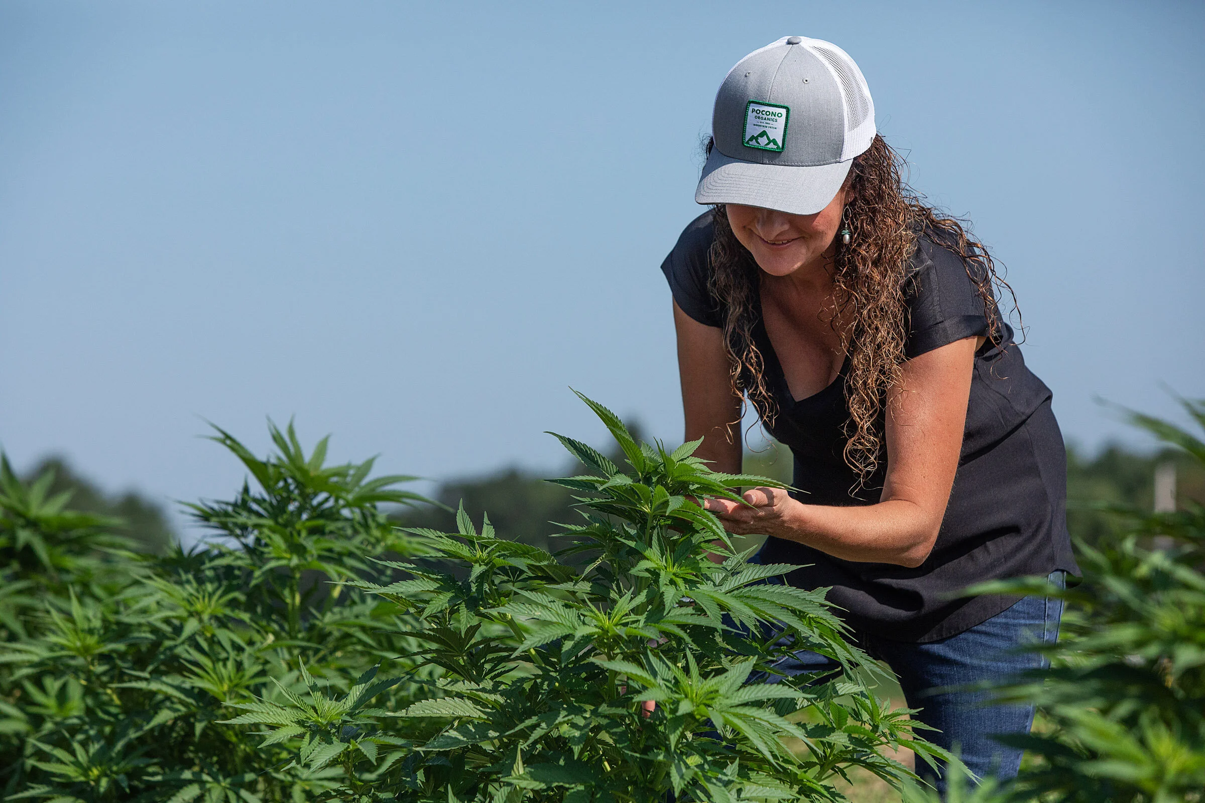 About Us — Pocono Organics