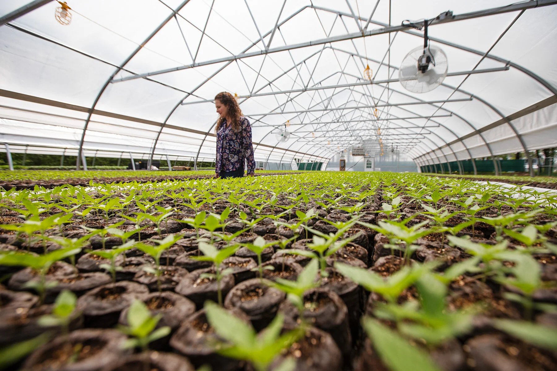 About Us — Pocono Organics