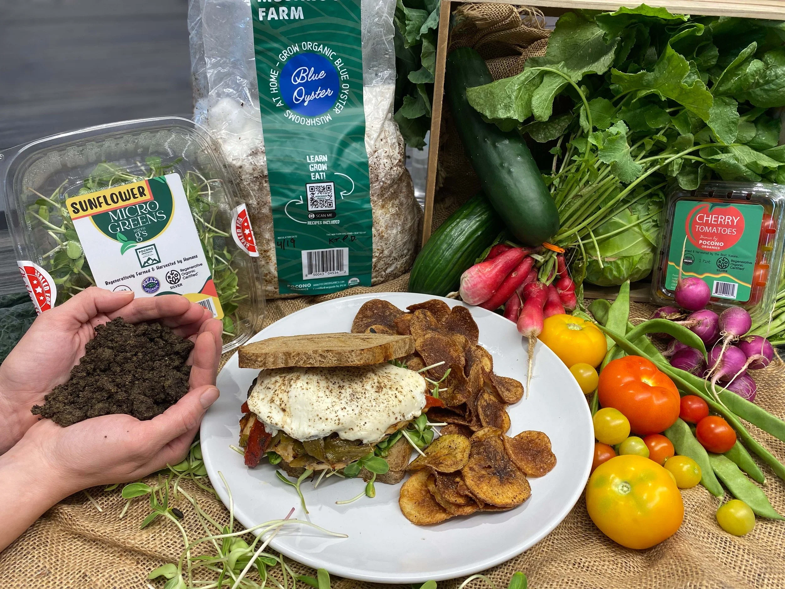 Hands on Agriculture - Grow Your Own at Home - Pick Your Own at the ...