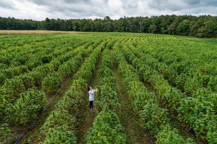 New Products — Pocono Organics