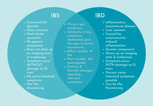 IBD vs IBS: A Letter & A World Apart — Good Gut Feelings