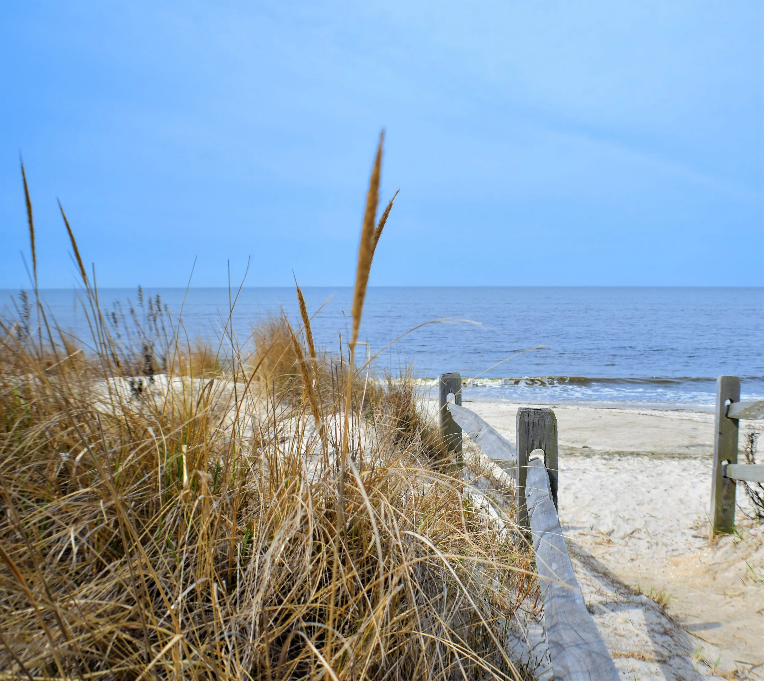 Scallop Shell Cottage — The Shell Cottages