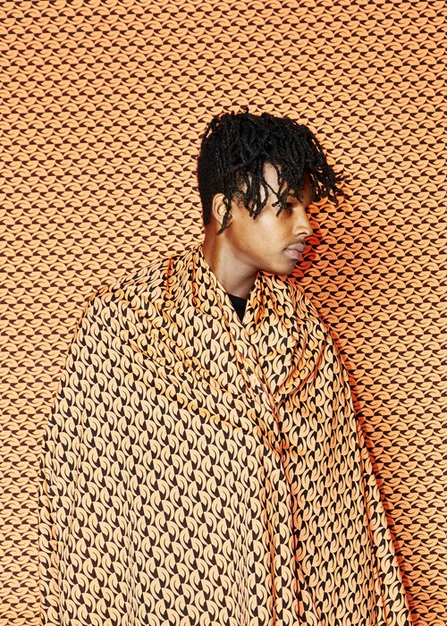 Post-colonial Fabrics in Contemporary African Art — SUNU Journal